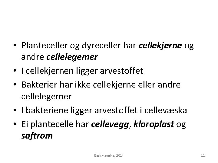 Naturfag for ungdomstrinnet Celler Illustrasjoner Ingrid Brennhagen ...