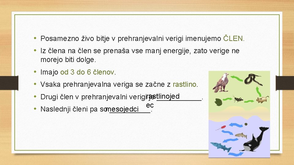 PREHRANJEVALNE VERIGE IN SPLETI Prehranjevalne verige Rastline proizvajajo