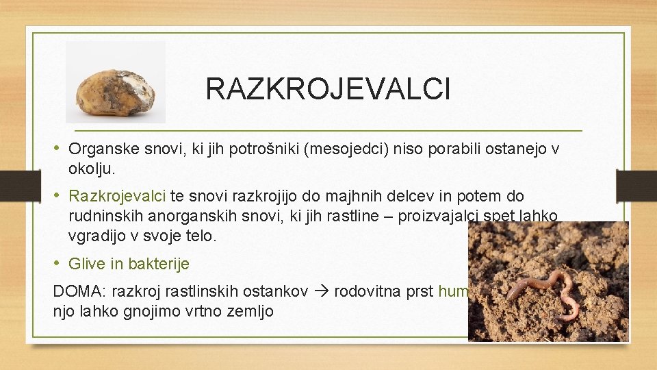 PREHRANJEVALNE VERIGE IN SPLETI Prehranjevalne verige Rastline proizvajajo