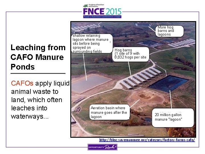 Vegetarian Diet for a Healthy Planet Bruce Monger