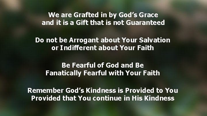 Grafted in By Gods Grace Romans 11 17