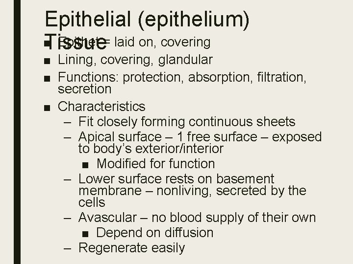 CHAPTER 3 Body Tissues 4 types Epithelial epithelium