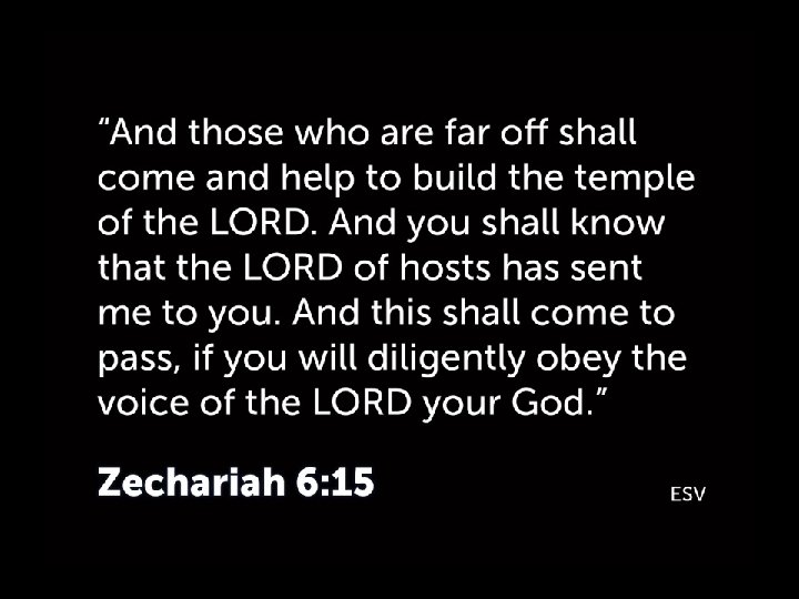 THREE WISEMEN FROM BABYLON CROWN THE PRIEST Zechariah