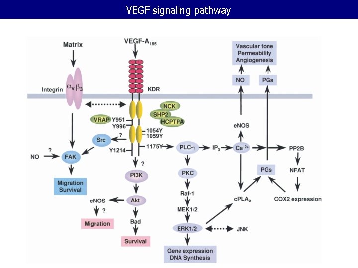 Prof You Mie Lee Ph D Lab of