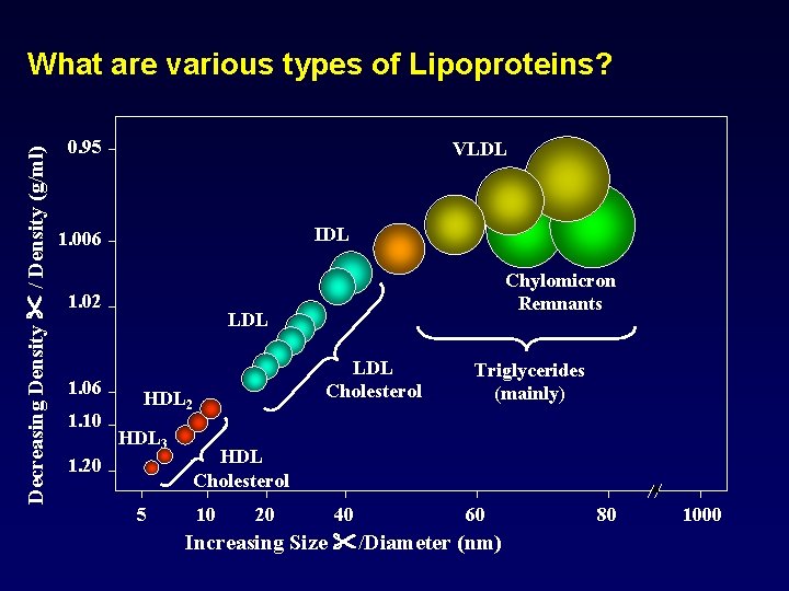 What are the differences between LDLP and LDLC