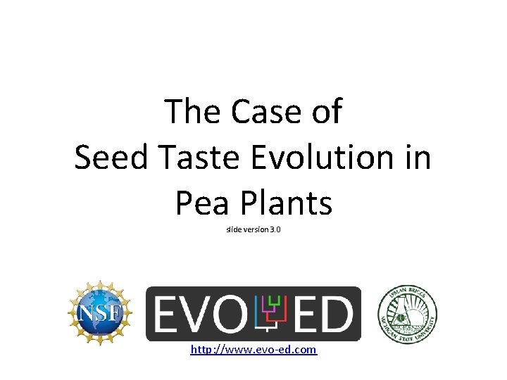 The Case of Seed Taste Evolution in Pea