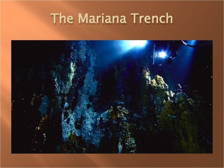 The Mariana Trench What is a trench in