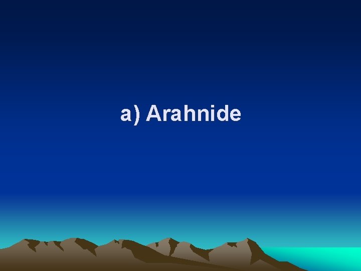 Artropode Prof Pop Aurel a Arahnide Pianjenii mici