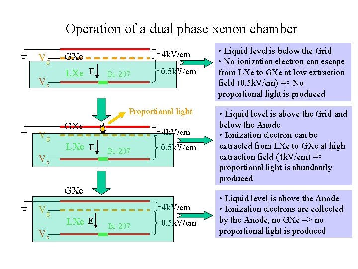 Proportional Light in a Dual Phase Xenon Chamber