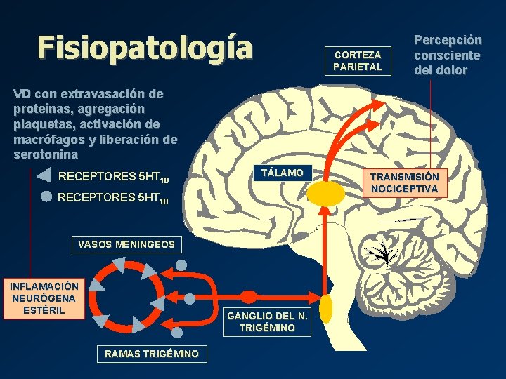 Cefalea actuacin en urgencias Dra Carmen Garca Servicio
