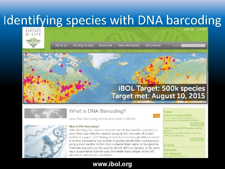 Metabarcoding a tool to accelerate biodiversity assessments Florence