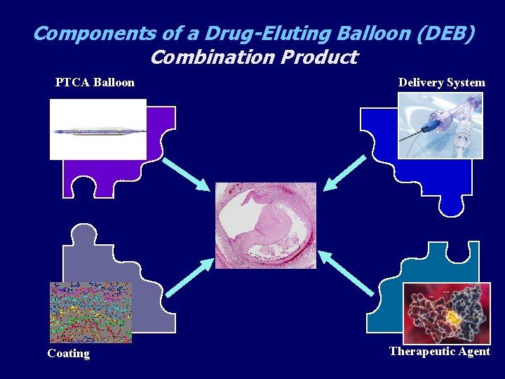 Regulatory Requirements for Drug Eluting Balloons Ashley Boam
