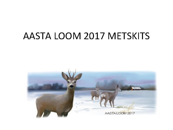 AASTA LOOM 2017 METSKITS Metskits vike hirv Tnavune