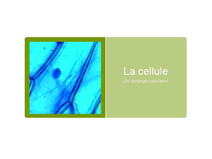 La cellule Les changes cellulaires Petit rappel Peuxtu