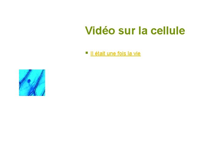 La cellule Les changes cellulaires Petit rappel Peuxtu