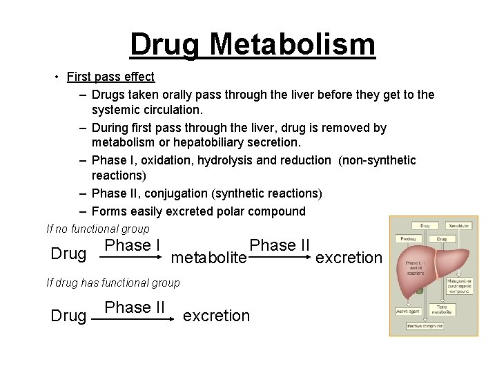 BIOLOGICAL SYSTEM A Gastrointestinal and Hepatic Systems Regulation