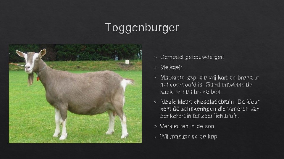 Schapen geiten rassen Door Renske Wietske en Femke