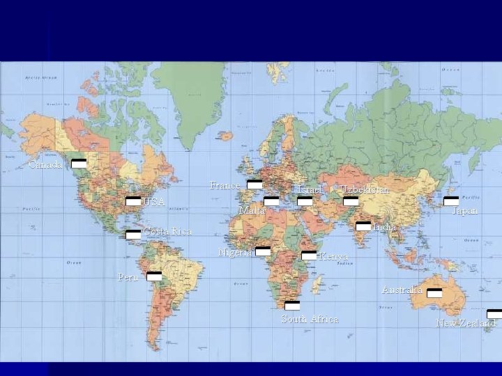 The Companion Flag An Introduction Companion Flag Adoption