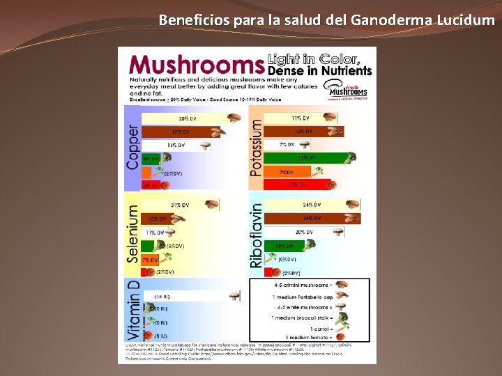 Beneficios para la salud del Ganoderma Lcidum Beneficios