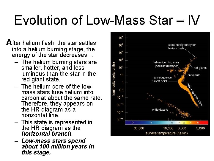 Mass and the Properties of Main Sequence Stars