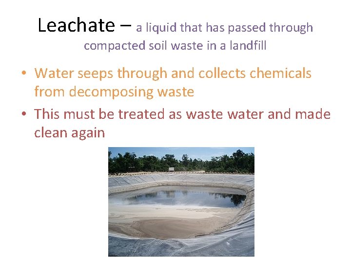 Ch 19 Waste Puuuweee Section 1 Objectives Name