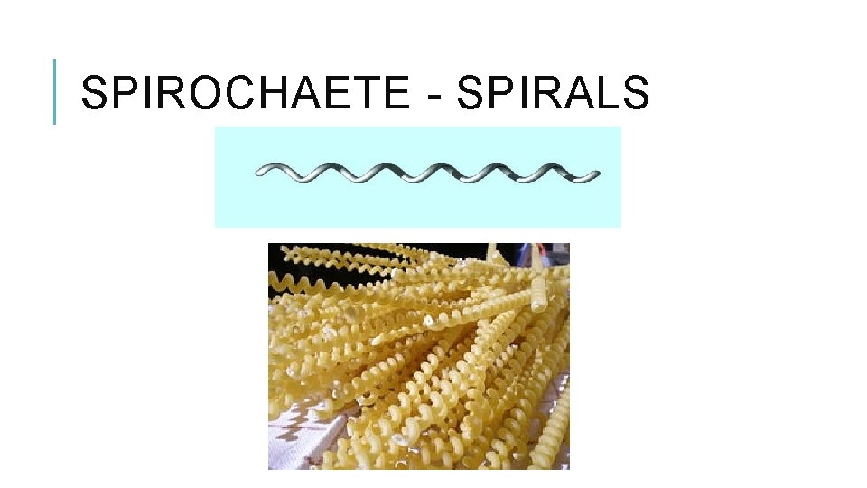 MICROBIOLOGY Chris Keil F 2 YOU ARE NOT