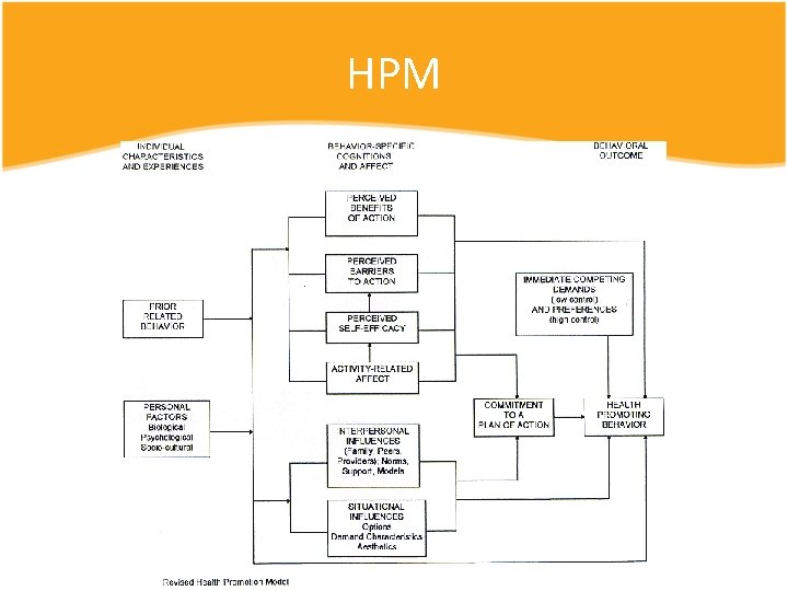 Theory Evaluation of Penders Health Promotion Model HPM