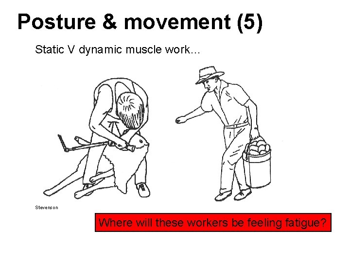 OVERVIEW OF ERGONOMICS Ergonomics definitions Study of work