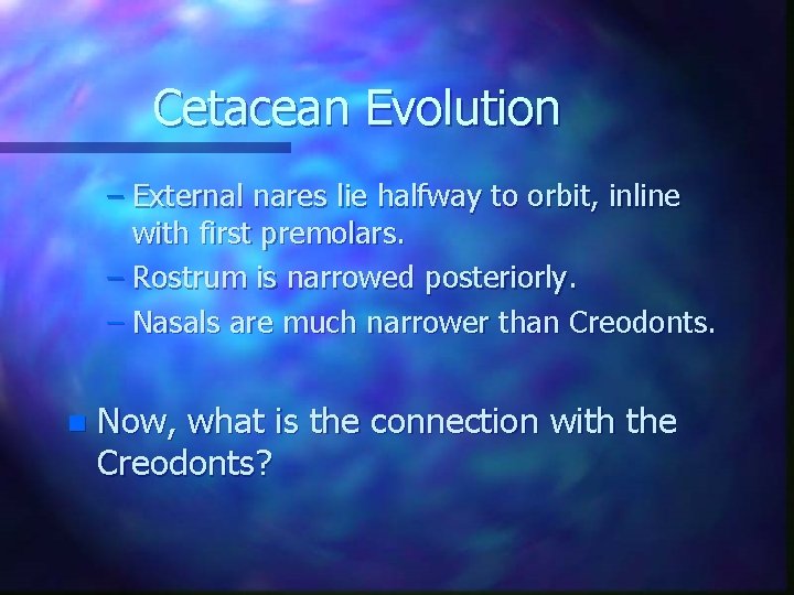 Cetaceans Cetacean Evolution The Cetacea probably originated in