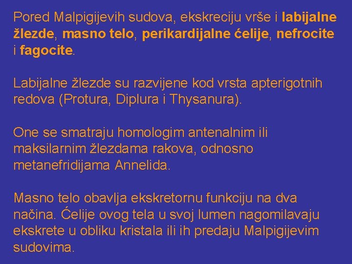 Anatomija insekata Unutranja graa tela insekata skoro da