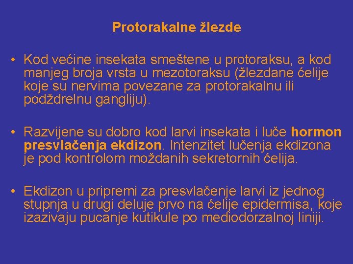 Anatomija insekata Unutranja graa tela insekata skoro da