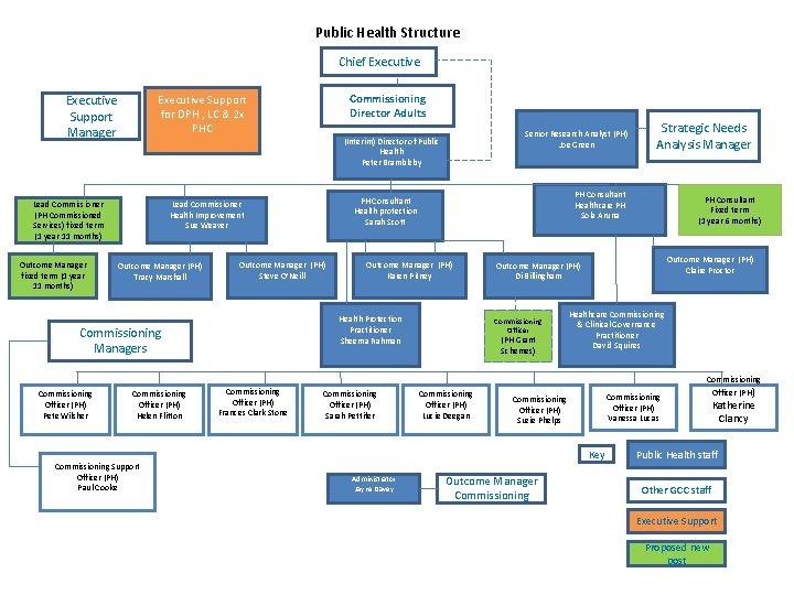 Public Health Structure Chief Executive Support for DPH