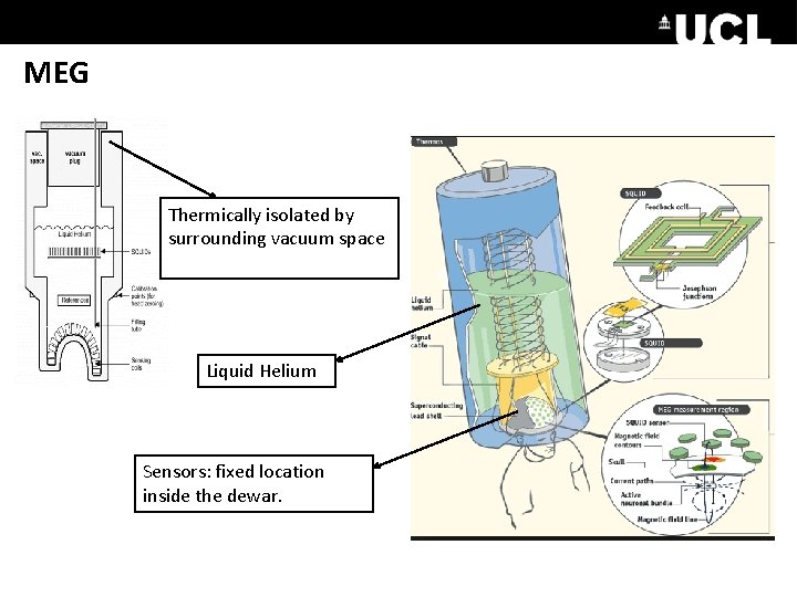 What are we measuring with MEEG Luzia Troebinger