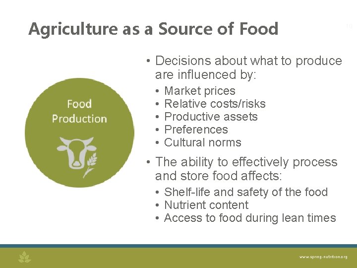 Designing Effective Nutrition Sensitive Agriculture Activities SPRING ...