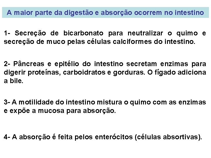 Integrao da Funo GI O processo alimentar dividido