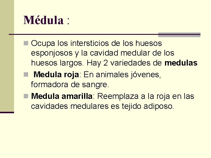 OSTEOLOGA n ESTRUCTURA DE LOS HUESOS Consta de