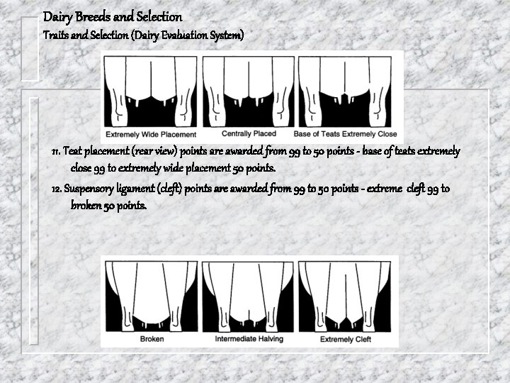 Dairy Breeds and Selection Objectives n Major Breeds