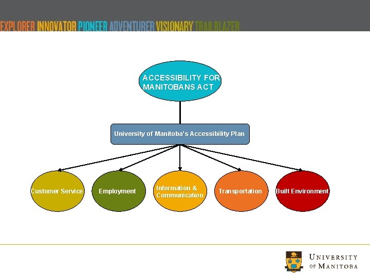 Lessons Learned Introducing an Accessibility Plan to a