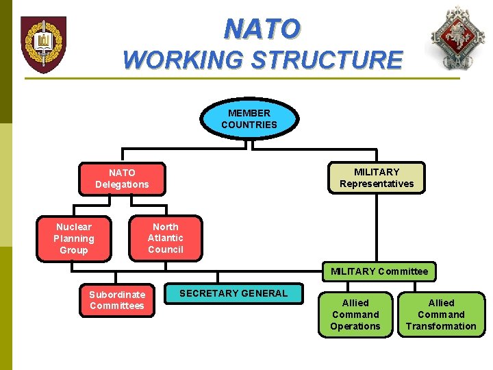 Lithuanian Military Academy NATO Non Article 5 Crisis