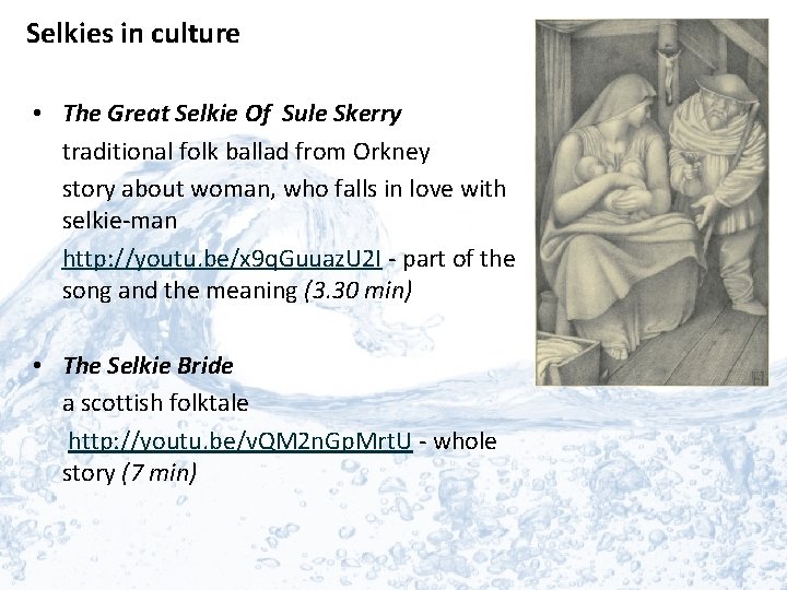 Mermaids all around the world Selkie Nixe Rusalka