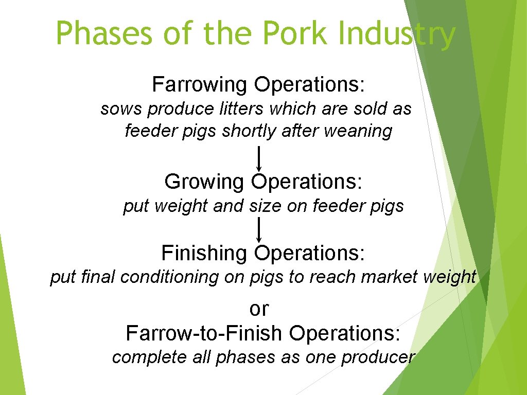 The Livestock Industry An Introduction to the Animal
