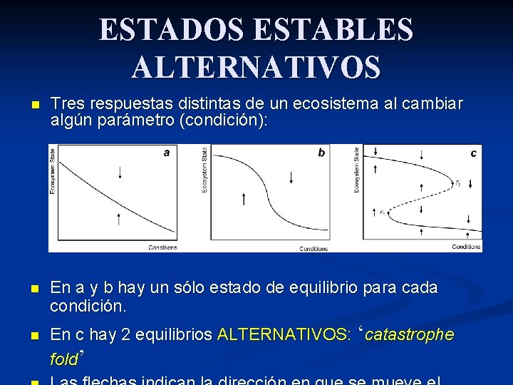 TRANSICIONES DE FASE EN EVOLUCIN Y ECOLOGA AGENTES