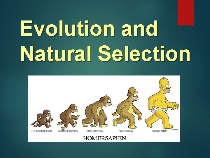 Evolution and Natural Selection Learning Goals 1 Define
