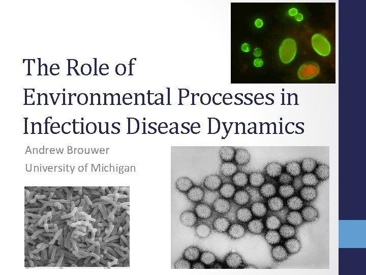 The Role of Environmental Processes in Infectious Disease