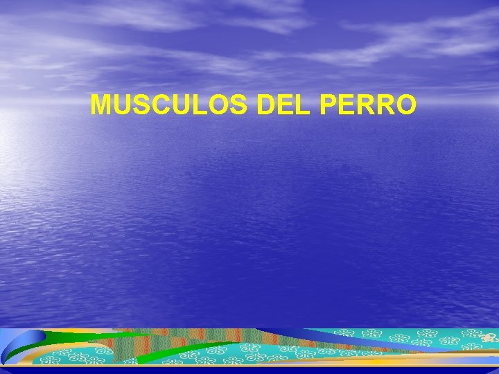 MIOLOGIA ANGELICA CANO BUITRAGO MIOLOGIA Los msculos se