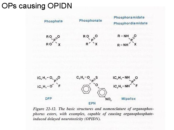Pesticides Principles of Toxicology Pesticides EPA definition substances