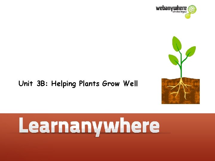 Unit 3 B Helping Plants Grow Well Unit