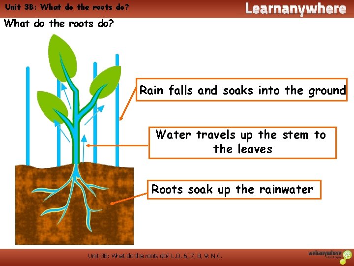 Unit 3 B Helping Plants Grow Well Unit