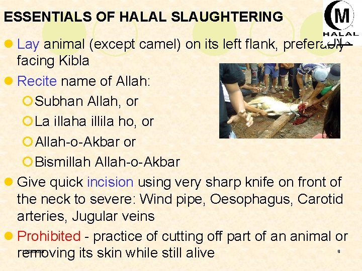 ISLAMIC SLAUGHTERING AND MEAT QUALITY Prof Dr Javaid