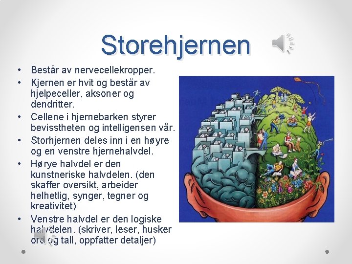 Nervesystemet Nervecelle Sentralnervesystemet Det perifere ...